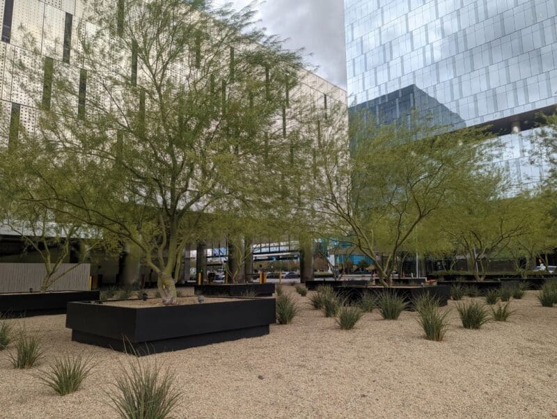 All About Trees – Tree Services in Phoenix, AZ - Phoenix AZ