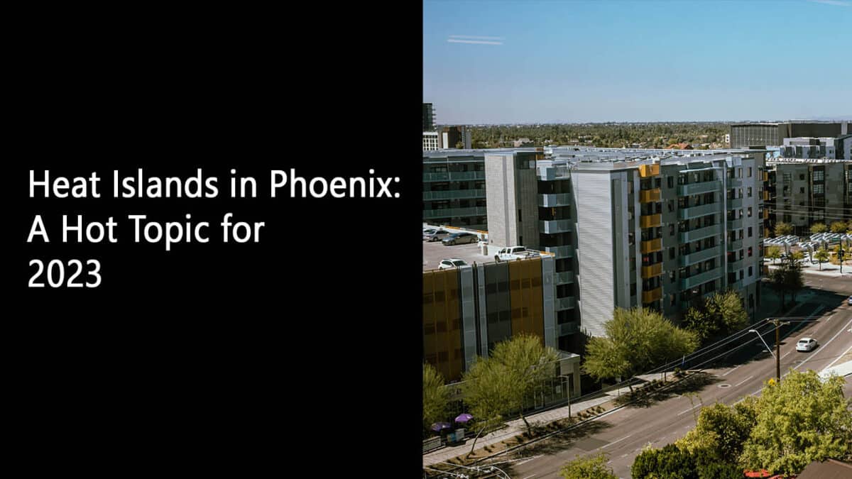 Heat Islands in Phoenix: A Hot Topic for 2023 - All About Trees ...