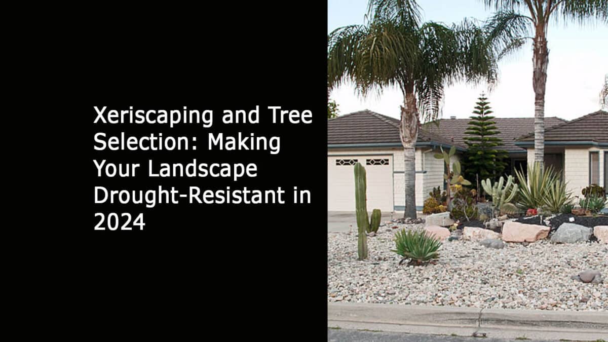 Xeriscaping and Tree Selection - All About Trees Certified Arborist in ...