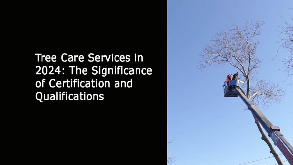 Tree Care Services in 2024: Significance of Certifications - All About ...