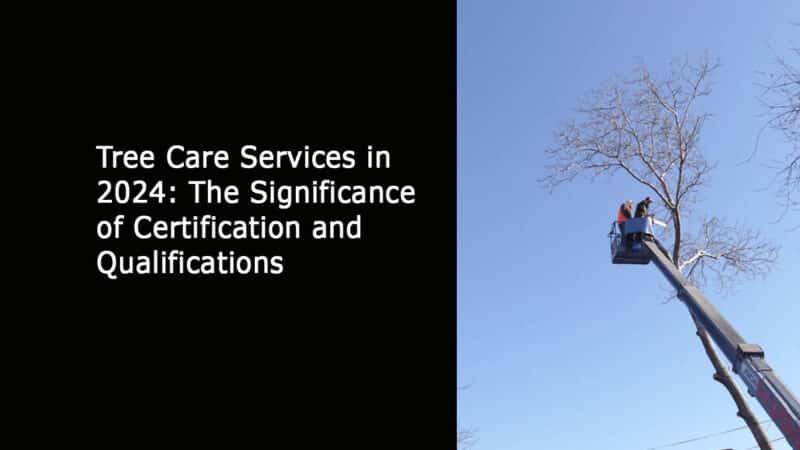 Tree Care Services in 2024: Significance of Certifications - All About ...